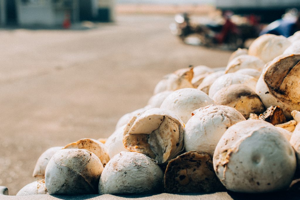 BANGKOK - OCTA STUDIO